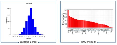 单细胞免疫组库分析 单细胞免疫组库测序