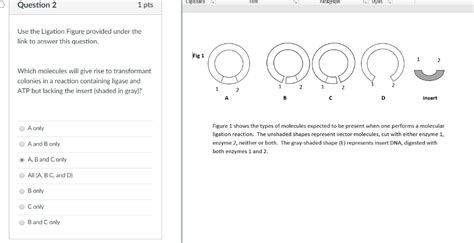 Solved Clipboard Font Paragraph Styles Question 2 1 Pts Use