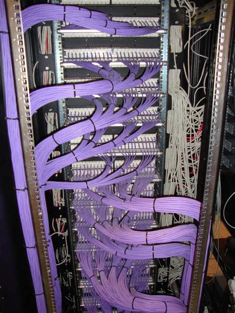 Cat6 Structured Data Cabling Case Study Mr Cable