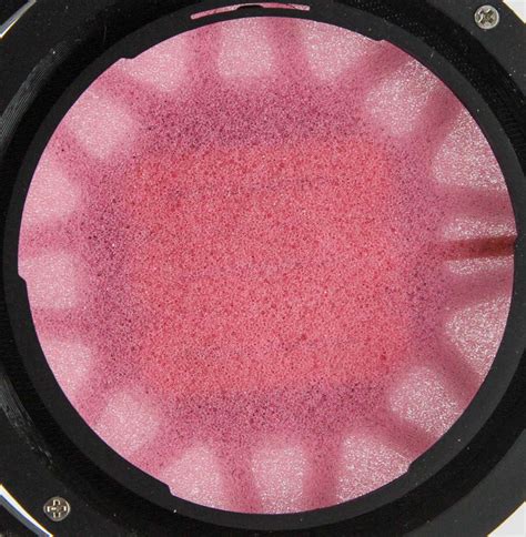 Ploopy Open Back Planar Magnetic Headphones Review Diy Fun Closer