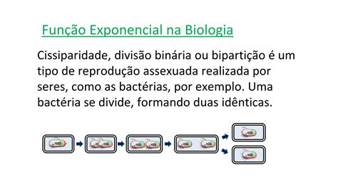 GrÁfico De Uma FunÇÃo Exponencial