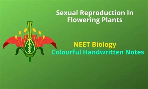 Neet Biology Chemical Coordination And Integration Notes Pdf Handwritten Notes