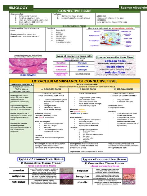 Histo Chap 3 Notes Pdf Connective Tissue Extracellular Matrix