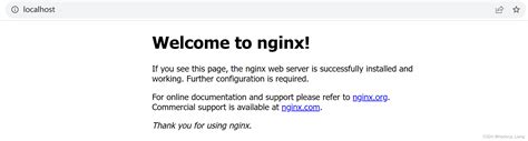 Nginx Nginx Csdn