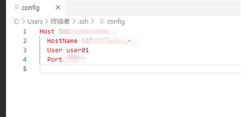 VSCode使用ssh连接服务器跑代码 vscode远程ssh连接服务器 提交代码 CSDN博客