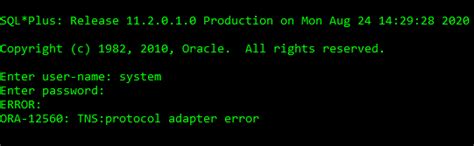 Trouble With Installation Of Oracle 11g Server Version Stack Overflow