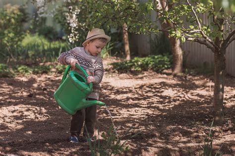 모자를 쓴 귀여운 소년이 야외에서 여름 정원에 있는 물뿌리개에서 묘목을 심고 물을 줍니다 정원 가꾸기와 아이에게 일을 가르치는 개념 2 3 살에 대한 스톡 사진 및 기타