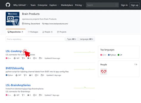 Bci A Complete Data Processing Pipeline Using Lsl