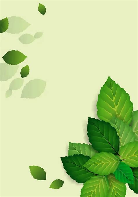 矢量清新绿色薄荷叶背景背景图片素材下载 图片编号qbbwzwll 免抠素材网
