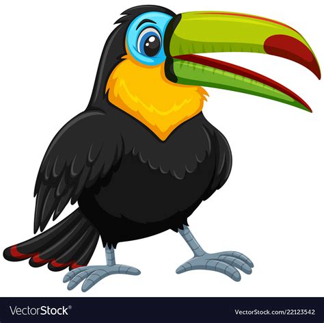 Cute Toucan White Background Royalty Free Vector Image