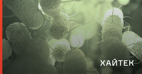 На МКС нашли бактерии, устойчивые к антибиотикам