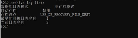 Oracle数据库的备份与恢复oralce Restore 能并行吗 Csdn博客