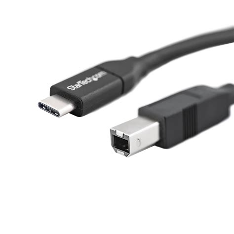 Amazon Com Startech Com M Ft Usb C To Usb B Cable Usb Usb Type C Printer Cable M M