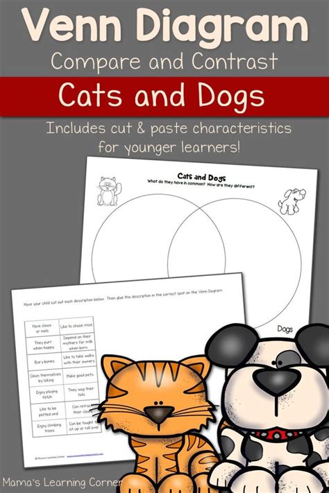 Problems On Venn Diagrams For Cat Problem Solve Or Prob