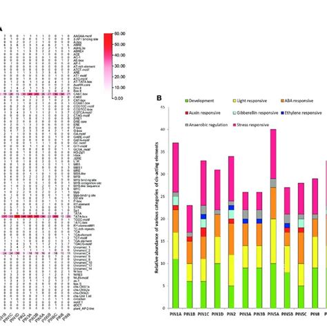 The Cis Acting Regulatory Elements Present In The 2 Kb Upstream Download Scientific Diagram