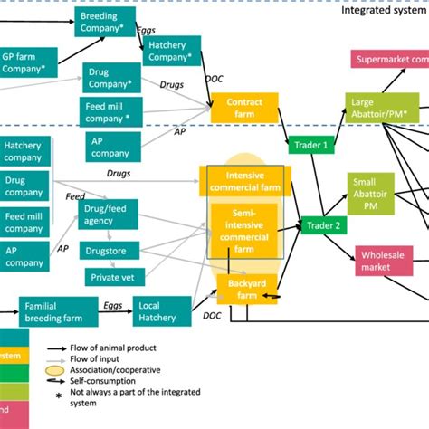 Description Of The Chicken Production Value Chain In Vietnam From Download Scientific Diagram