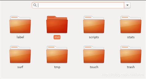 Freesurfer颅骨剥离aparca2009saseg Csdn博客