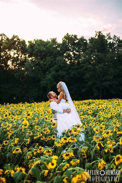 Southern Summer Wedding Photo In Sunflower Field Summer Wedding