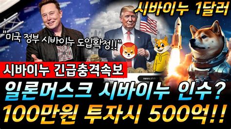 시바이누 코인 일론머스크 시바이누에 거대자금 투자한다 미국 정부 시바이누 도입확정 100억 부자를 향한 도약 시바이누코인 Youtube