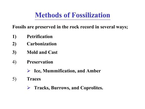 Ppt Methods Of Fossilization Powerpoint Presentation Free Download