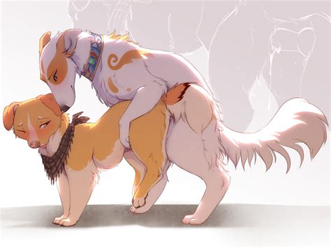Rule 34 43 Animal Genitalia Animal Penis Animal Pussy Bird Dog Borzoi Canid Canine Canine