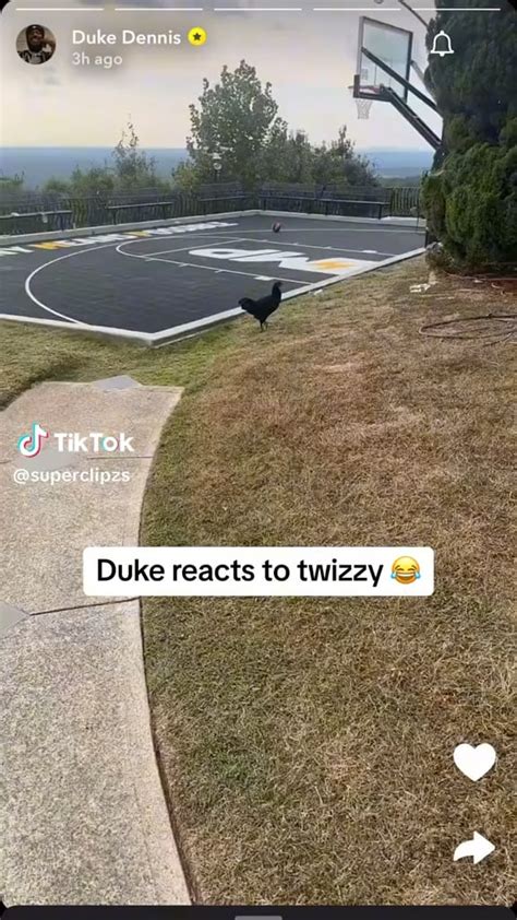 Duke Finds Twizzy 🤣 R Fanumtroupe