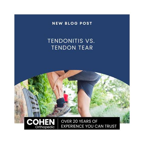 Tendonitis Vs Tendon Tear Uncategorized