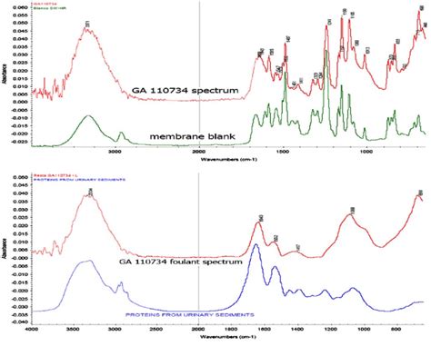 Ftir Spectrogram For The Foulant Material Collected From Used Membrane