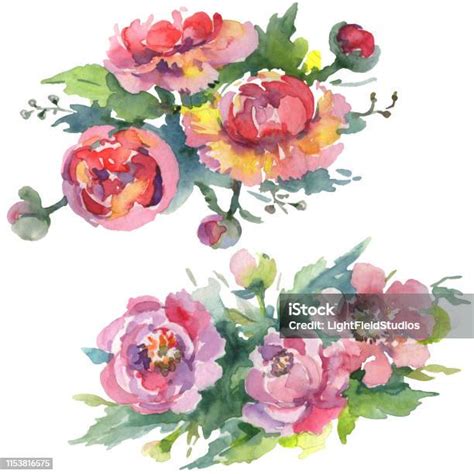 모란 꽃다발 꽃 식물 꽃입니다 수채화 배경 그림 집합입니다 고립 된 꽃다발 그림 요소입니다 0명에 대한 스톡 벡터 아트 및 기타 이미지 Istock