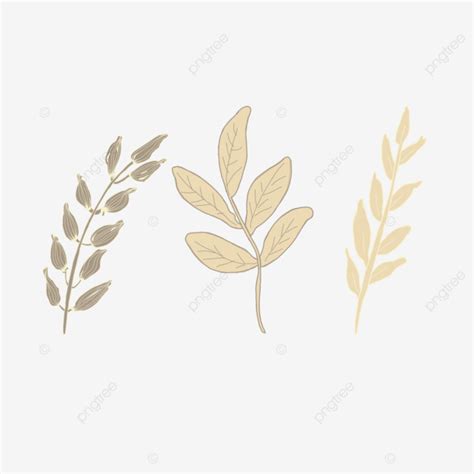 Stem Leaf Type Psd Free New PNG Transparent Clipart Image And PSD File For Free Download