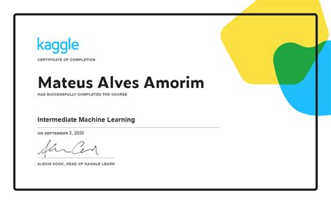 mateus alves amorim completed the intermediate machine learning course on kaggle