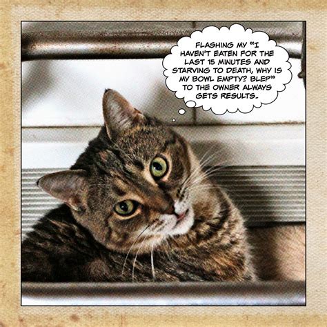 Her Wish Is Your Command Album On Imgur