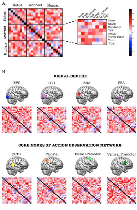 4 The Structure Of The Representational Similarity Matrix And The