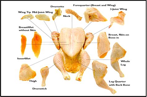 Basic Cuts Of Poultry
