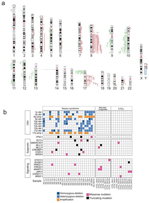Matlab Plotting Copy Number Variations With Chromosomes Researchgate