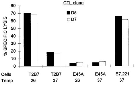 D7 Like Ctl Do Not Recognize T2 Cells Transfected With A Download