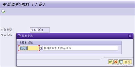 sap批量维护库存地点 sap 扩充库位 csdn博客