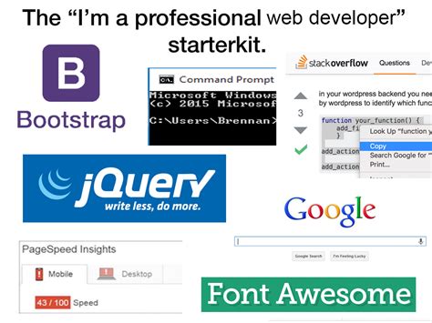 the i m a professional web developer starter pack r starterpacks