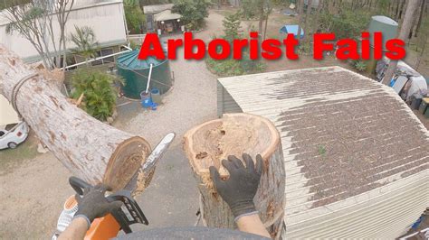 Tree Cutting Fails YouTube
