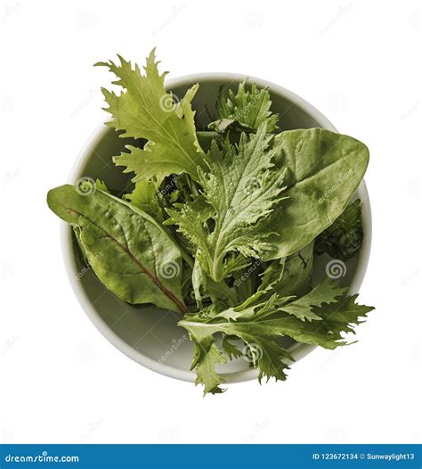 Green Grass On Plate Preparing Ingredients For Cooking Isolated On