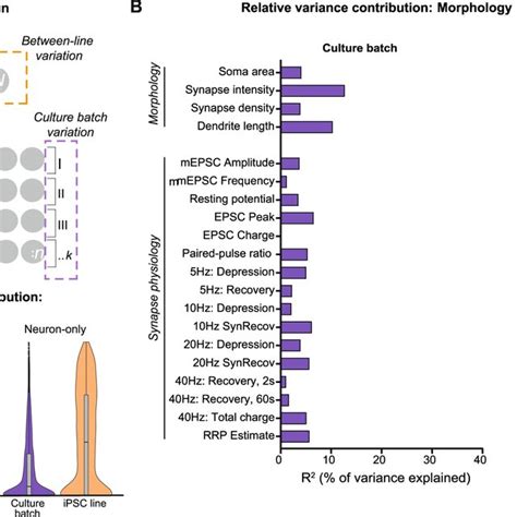 Power Simulations To Calculate Statistical Power Of Design 1 Type Download Scientific Diagram