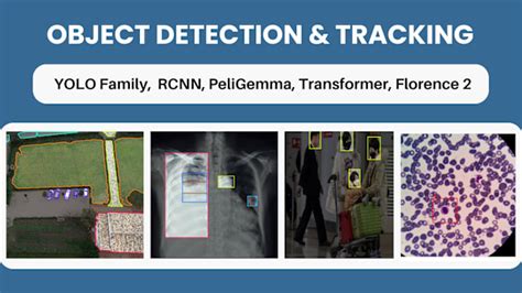 Do Deep Learning Object Detection Projects By Osmanmuhammad Fiverr