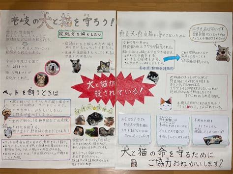 ステキな夏休みの自由研究♪ 壱岐島わんにゃんお守り隊299