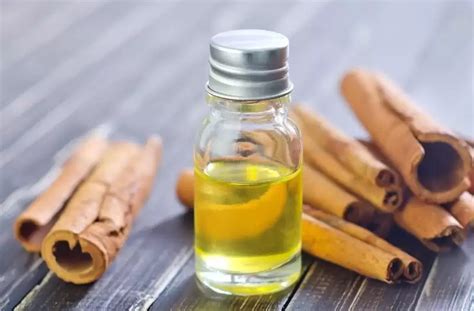 Як наповнити оселю приємним ароматом за допомогою одного засобу Читайте на Ukr Net