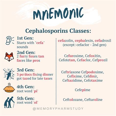 Cephalosporins Are A Cornerstone Of Modern Antibiotic Therapy Offering