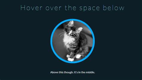 16 Best Free Css Reveal Animations In 2025 16 Best Free Css Reveal Animations In 2025