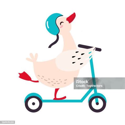 귀여운 오리 캐릭터 에 헬멧 승마 킥 스쿠터 벡터 일러스트 오리 물새에 대한 스톡 벡터 아트 및 기타 이미지 오리 물새 자전거 타기 귀여운 Istock