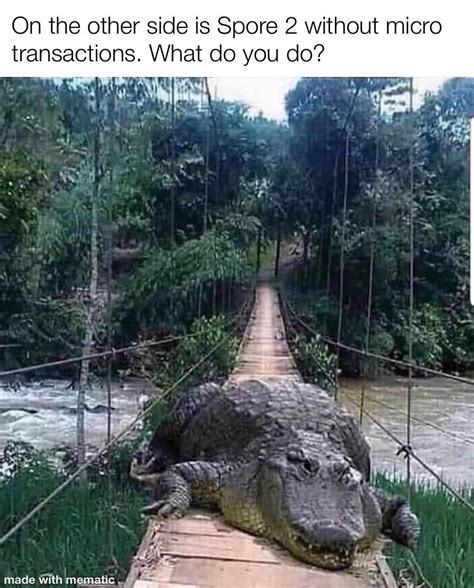 Whats The Best Archetype Rspore