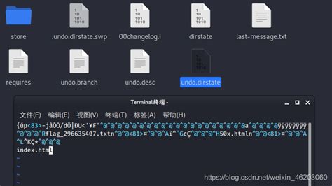 Ctf Web方向与php学习记录15之dvcs Ripper Master Csdn博客