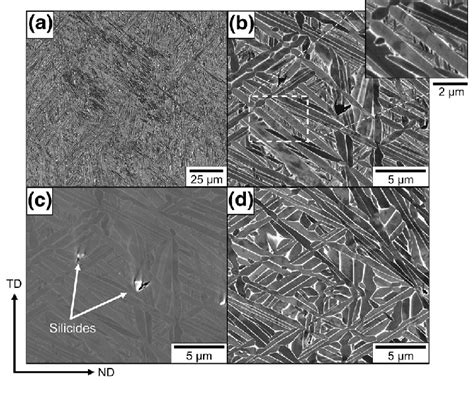 Sem Micrographs Showing The Un Peened Ti6242 Control Samples Typical